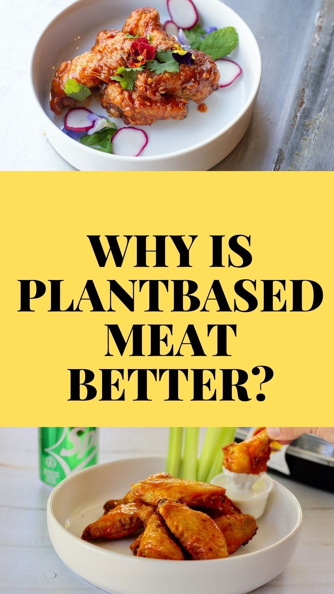 WHY IS PLANT-BASED MEAT BETTER?. Plant-based meat, or what we popularly ...