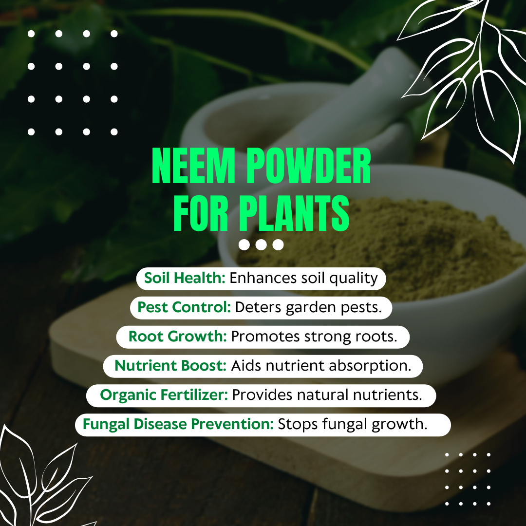Organic Gardening Made Easy With Neem Powder💚 - Isabella Brown - Medium