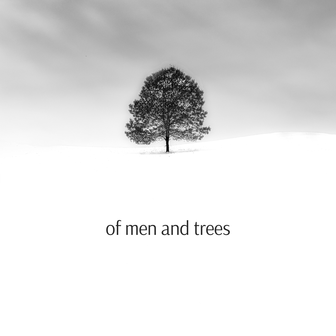 Of Men and Trees. A tree is a tree | by Jeremy Brian | Jul, 2024 | Medium