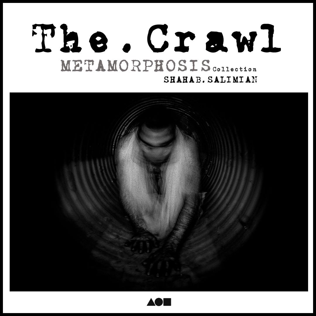 THE CRAWL. “The Crawl” is my first photo of… | by Shahab Salimian | Medium