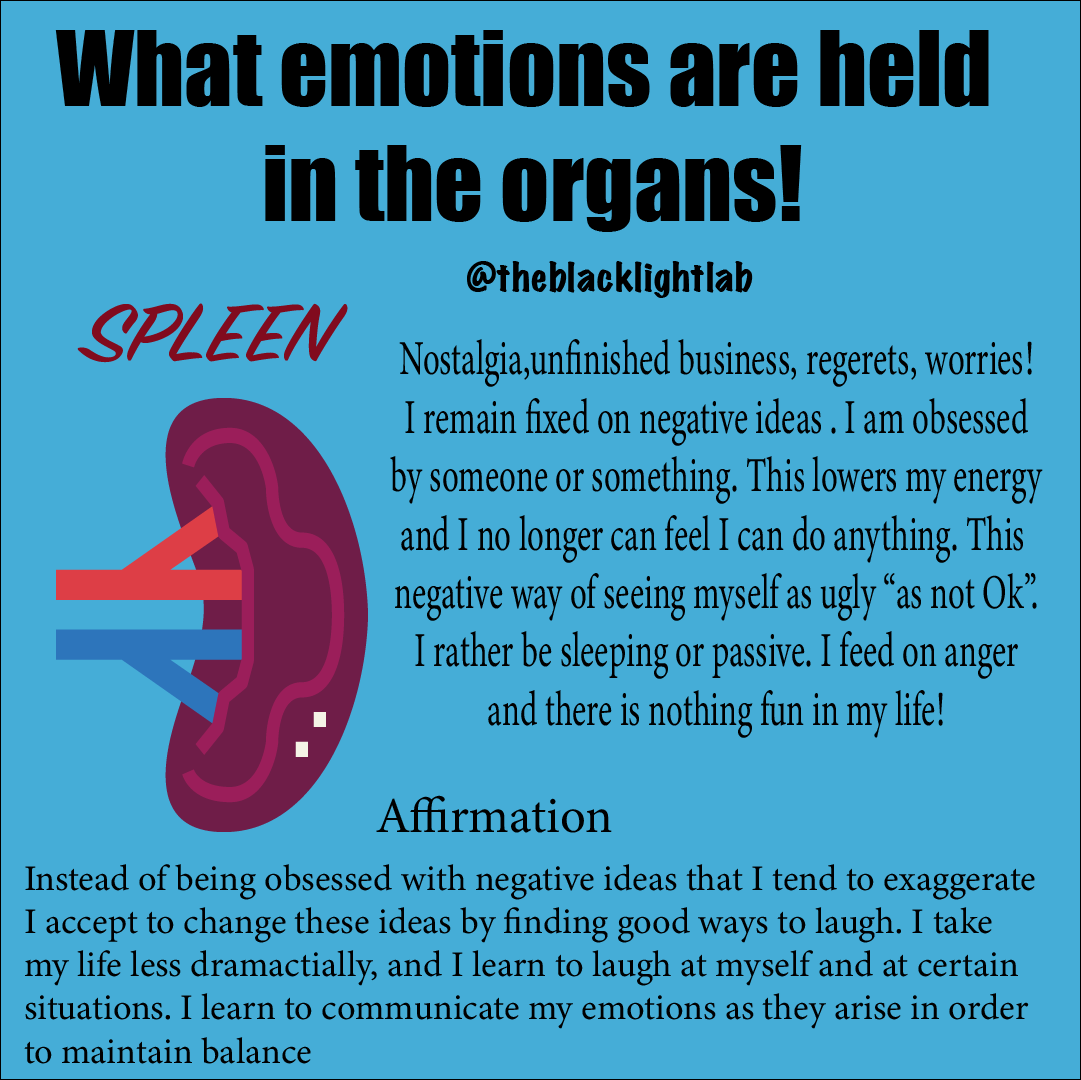 What emotions are held in your organs? Today’s topic the spleen! | by ...