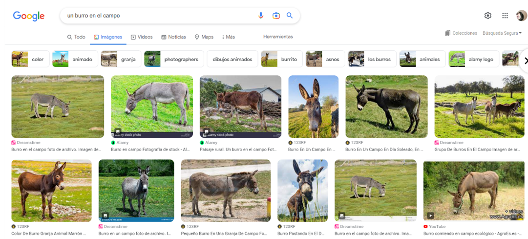 COMO UN BURRO - dolores ros - Medium