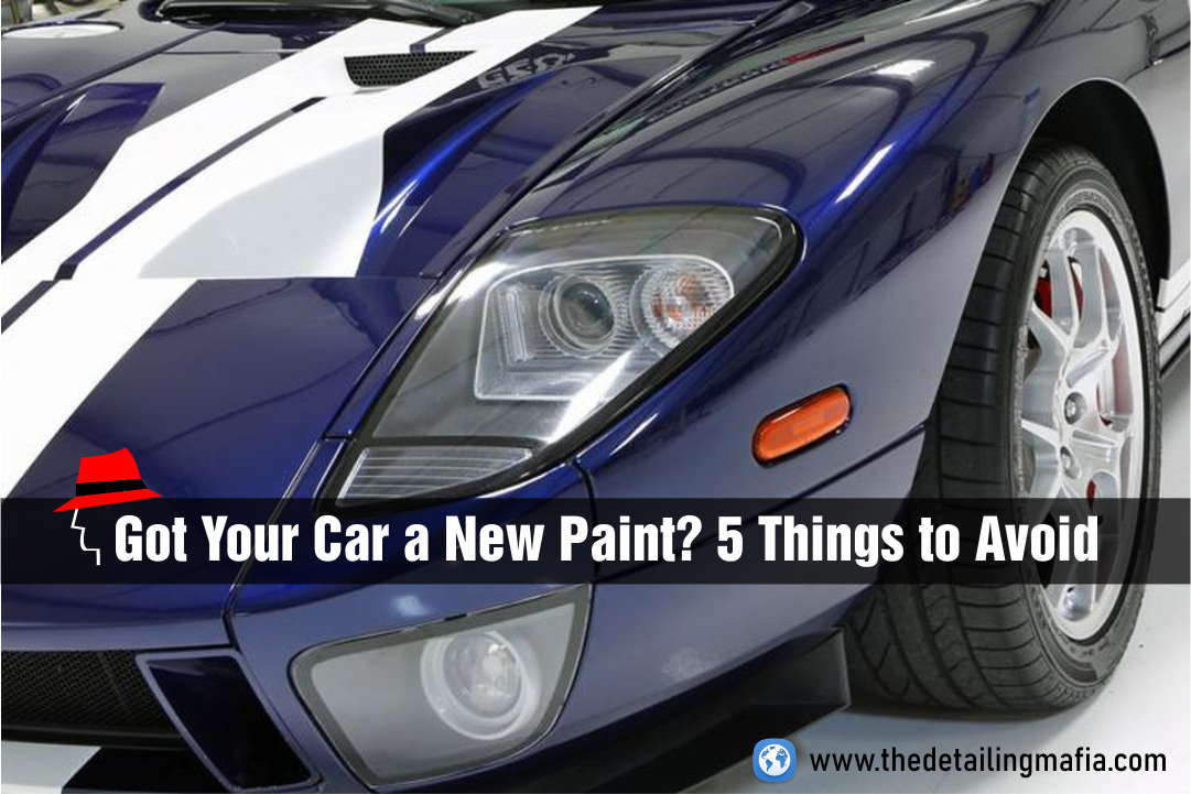Got Your Car a New Paint? 5 Things to Avoid | by The Detailing Mafia ...