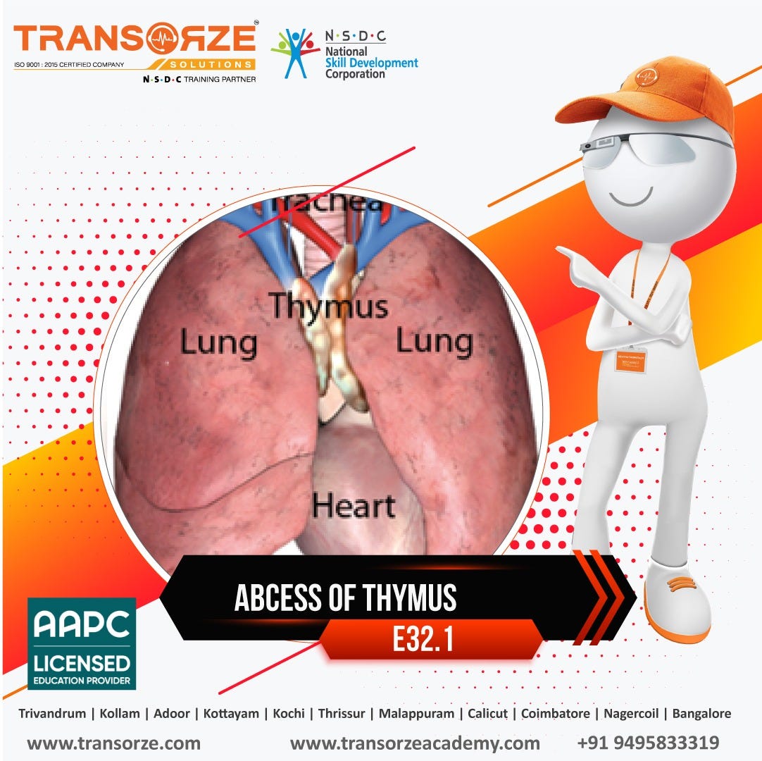 ICD 10 Code E32 1 For Abscess Of Thymus Transorze Academy Medium ICD 10 Code E32 1 For Abscess Of Thymus Transorze Academy Medium