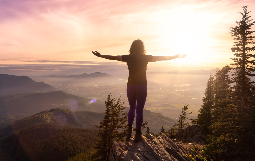 Nature’s Wisdom: Learning Intuitive Lessons from the Natural World | by ...