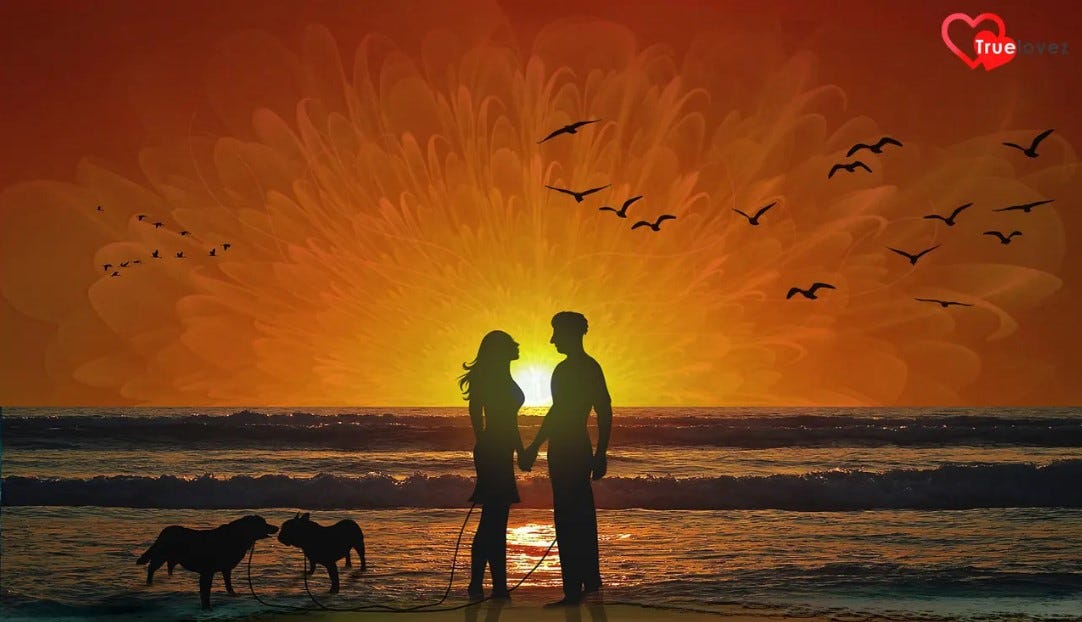 First Love: A Journey of Heart and Soul | by True Lovez | Medium