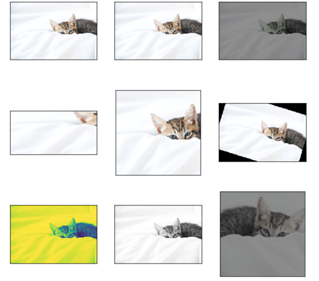 Deep learning basics — data augmentation | by Sophia Yang, Ph.D ...