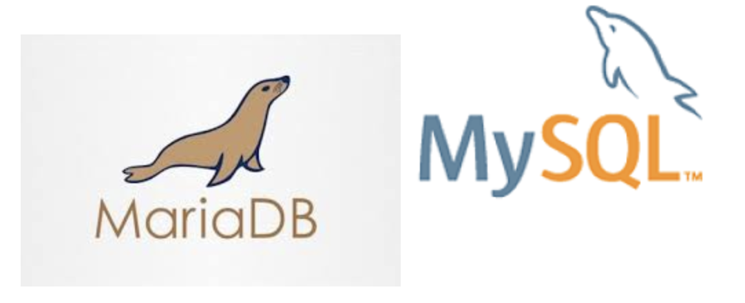 Deploy MariaDB/MySQL in the Cloud | by John Lutz | Medium