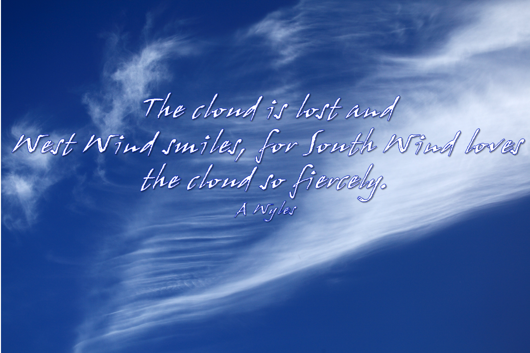West Wind smiles. I’m choosing to believe that her anger… | by Ali ...