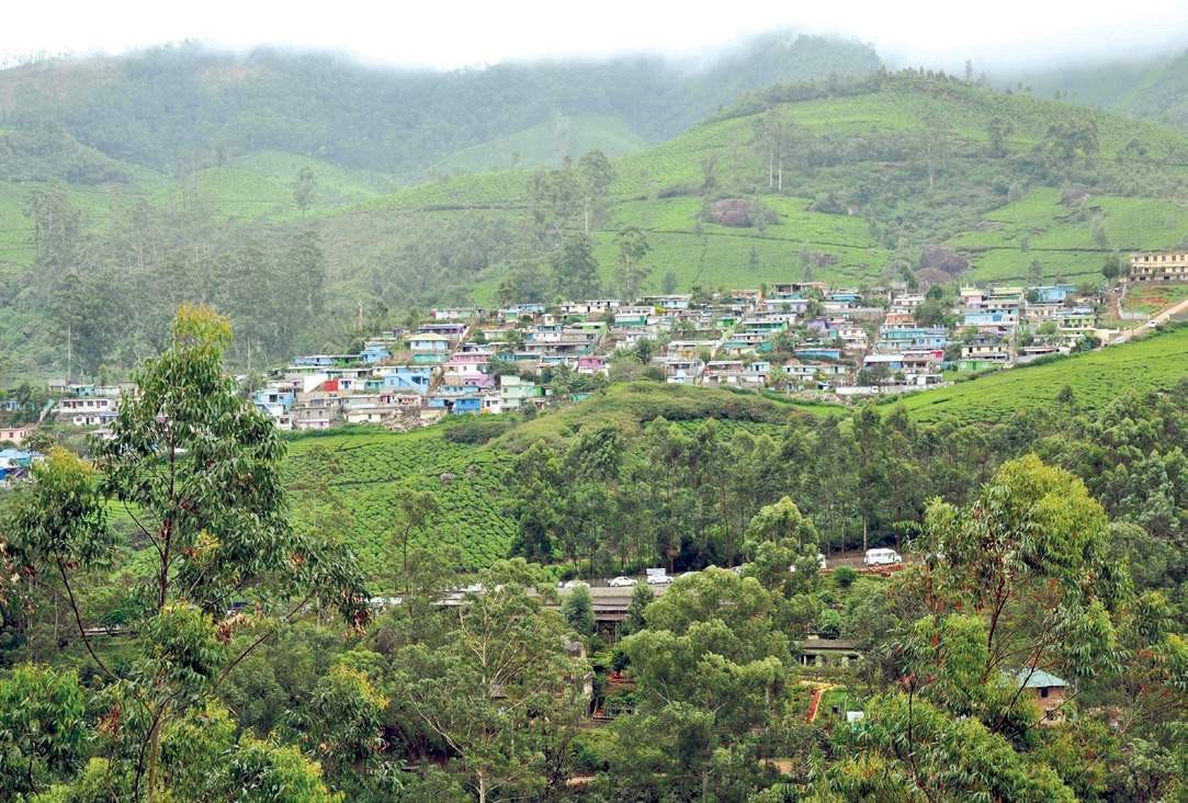 5 best places to visit in Munnar. Located at the confluence of the ...
