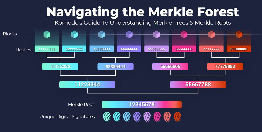 Solidity: Merkle Tree. Today we are going to look at an… | by Alexandr Kumancev | Coinmonks | Medium