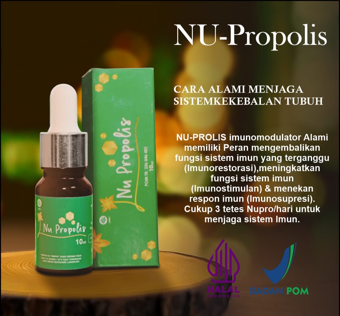 JUAL NU PROPOLIS : [NUSANTARA PROPOLIS ] MALANG ,JAWA TIMUR ALAMAT : JL ...