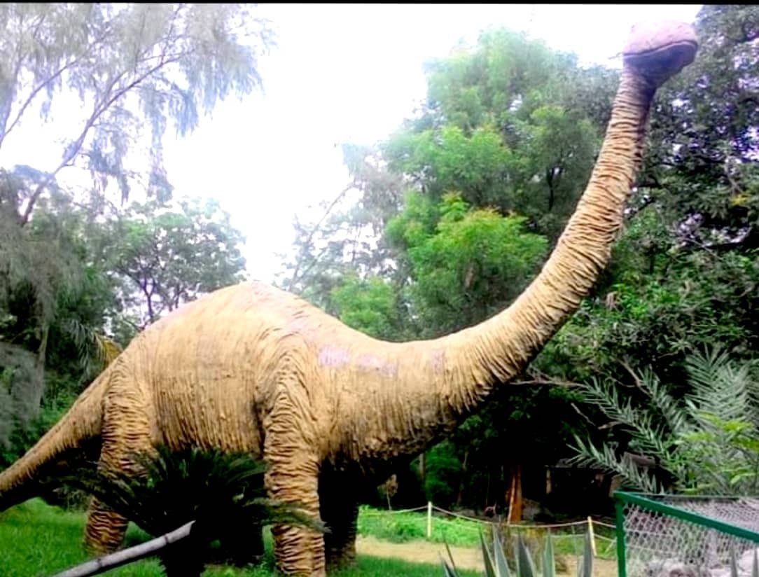 My Experience Of Visiting Indroda Nature Park | by Sahil Patel ...