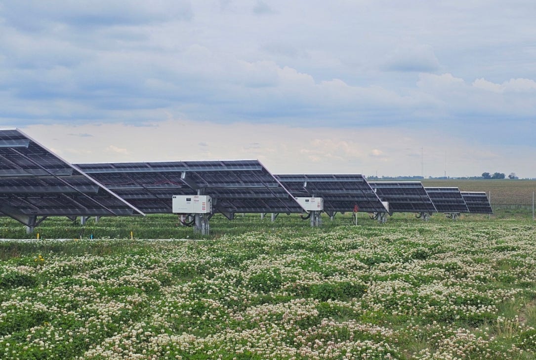 Harvesting Data, Energy, and Food: My Work in Agrivoltaics at Iowa ...