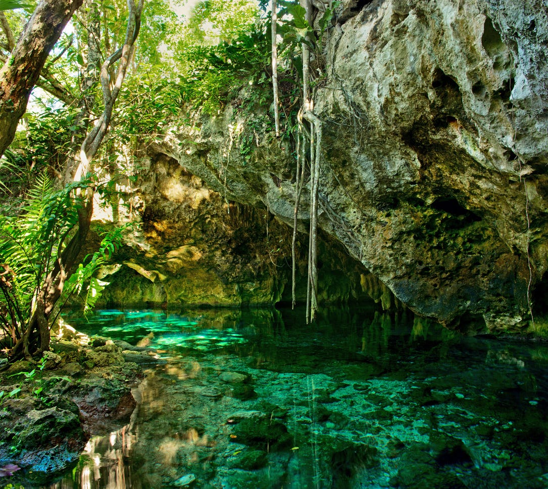 Discover Tulum: A Wildlife Wonderland on the Yucatan Peninsula’s ...