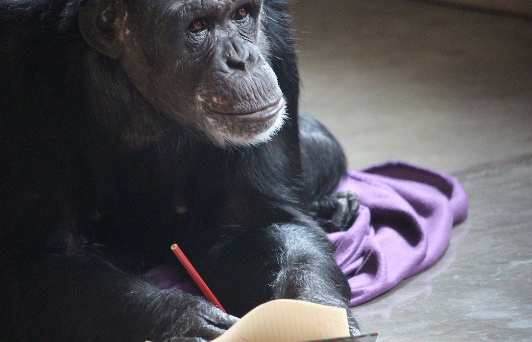 Transcribr. A Transformer-based handwriting… | by Adam Schiller | TDS ...
