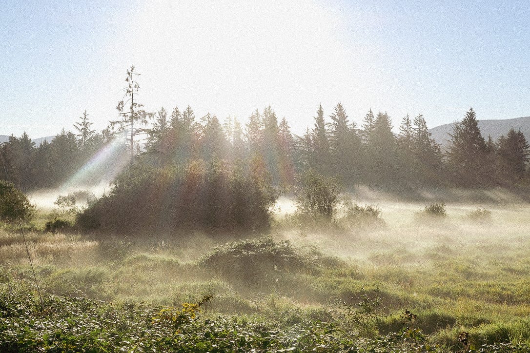 September is Yellow. September is yellow. I don’t know why I… | by ...