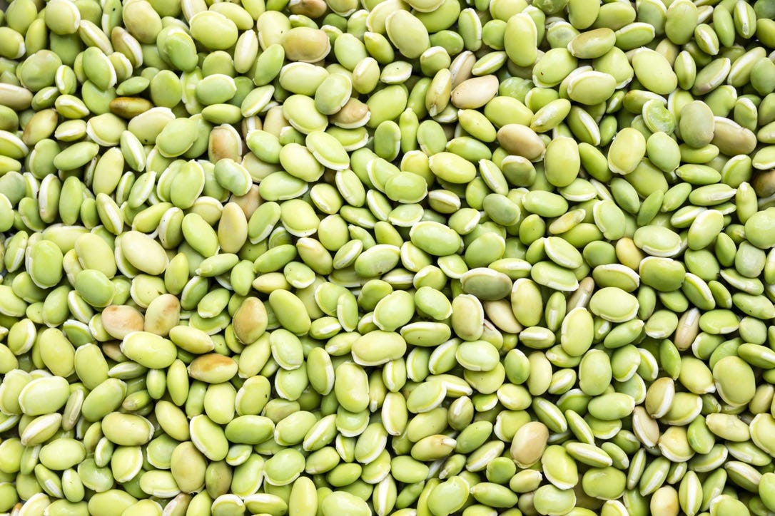 Lima Bean Love. Celebrating Lima Bean Respect Day… | by Harper Thorpe ...