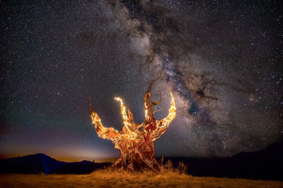 🌕 The Bones of Our Becoming 🌕 Taurus Full Moon | by Augustin Venus ...