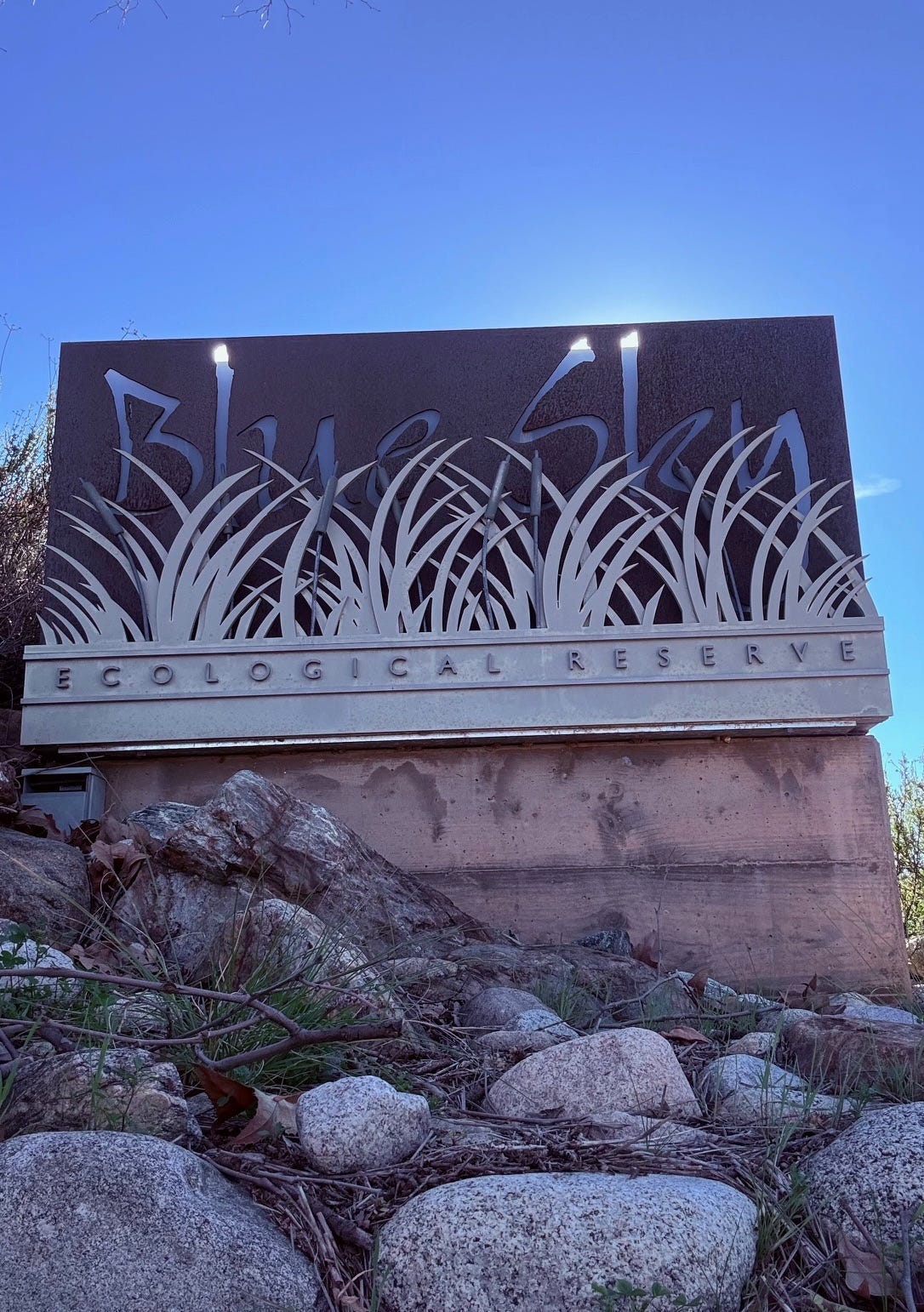 Wildfires Destroyed Blue Sky Reserve | by Michael Rhodes | The Daily ...