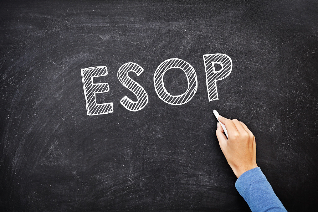 Founder’s guide for building ESOPs for their venture | by pi Ventures ...