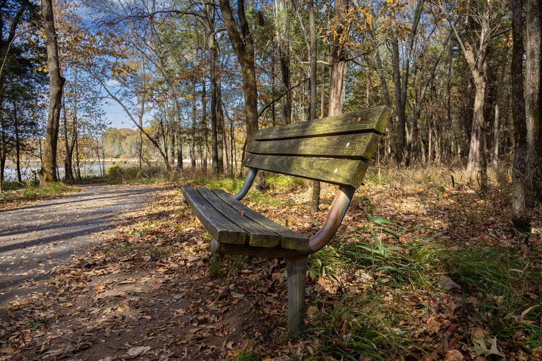 Autumn In Long Hunter State Park. | Read or Die!