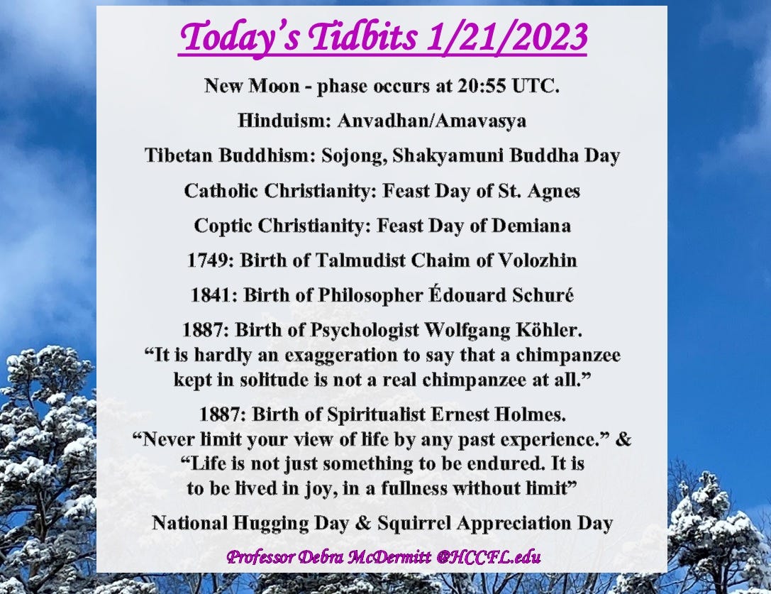 Today’s Tidbits & Quotes for Jan 21st 2023 | by Debra J McDermitt | Medium