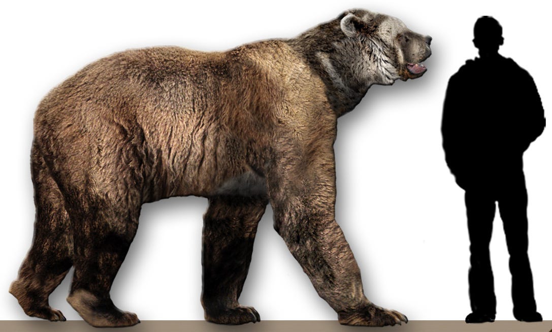 Photogrammetry: Short Faced Bear (Arctodus simus) 3D model | by Richy ...