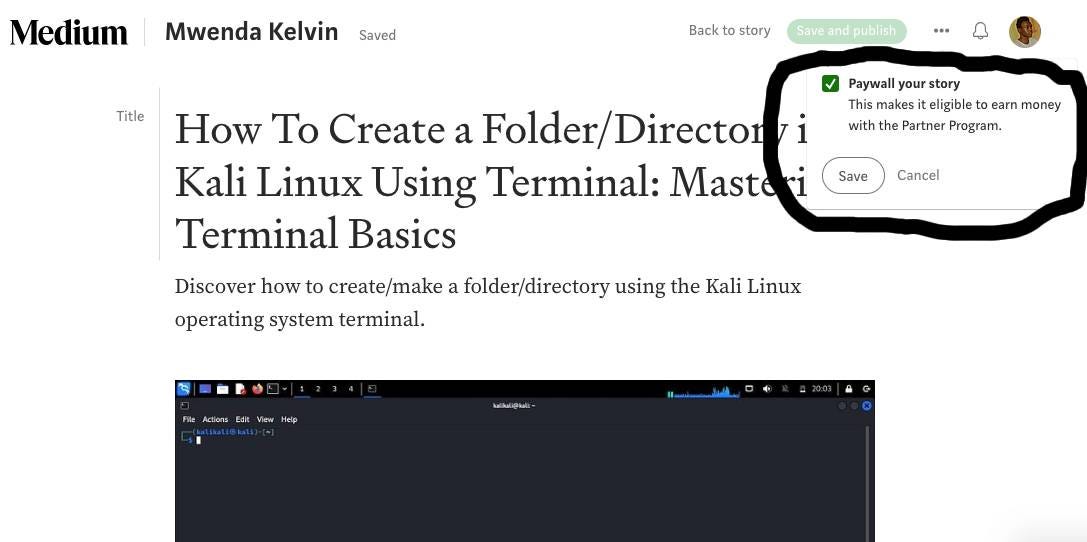 Making a Published Story Earn Money: Medium Partner Program Members | by Mwenda Kelvin | Jan ...