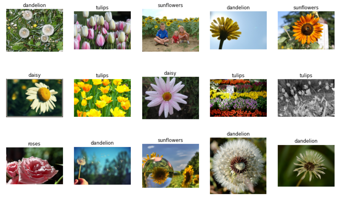 Flowers Image Classifier. The Flower dataset contains 4242 images… | by Navyashreevshetty | Medium