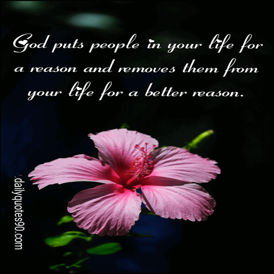 Life Quotes - Hamida Magdum - Medium