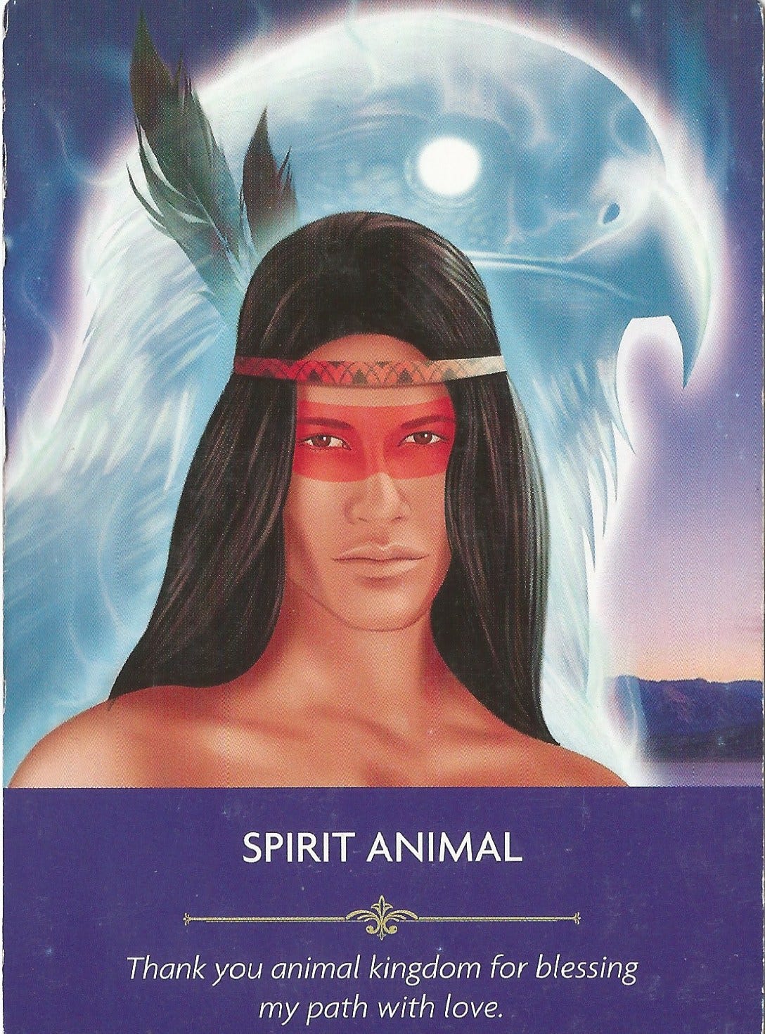Animals are sending you messages. Spirit Animal | by ...