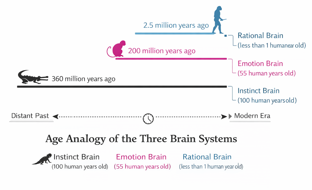 The Three Brain Brothers: A Playbook for Turning “Inner Friction” Into ...