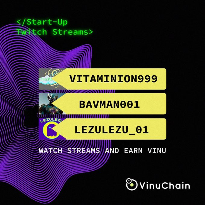 Actualización del proyecto de JUNIO/2024 - Vita Inu (VINU)