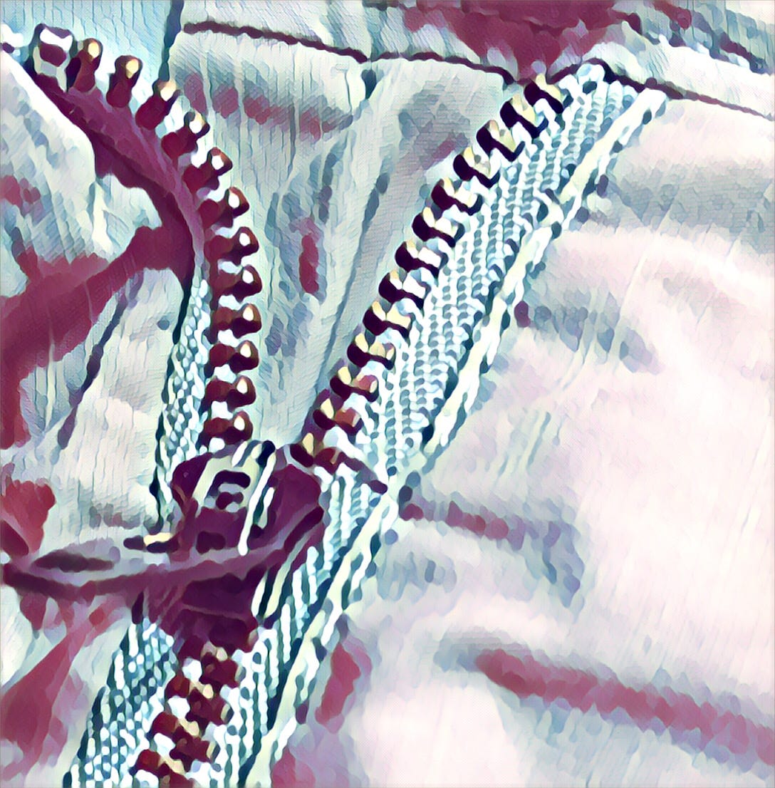 Today’s Prompt: Zipper. The zipper is the essence of… | by Susan ...