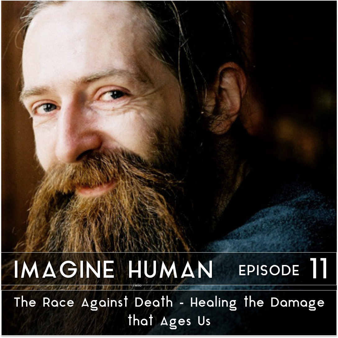 Episode 11: The Race Against Death — Healing the Damage that Ages Us ...