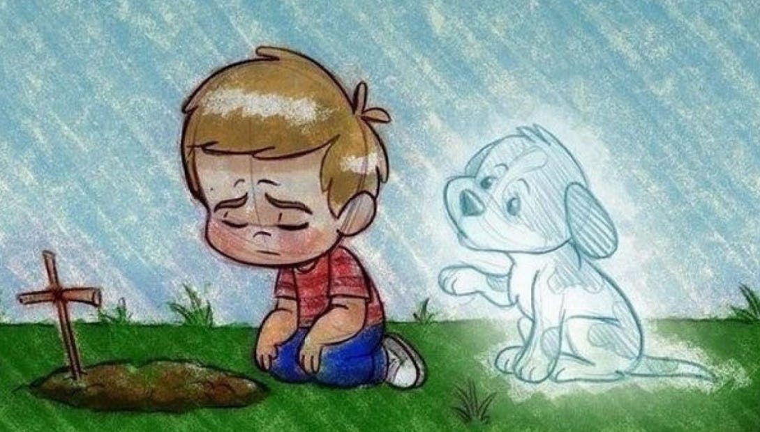 Losing a Dog Is More Painful Than Most People Think | by Mohamed ...