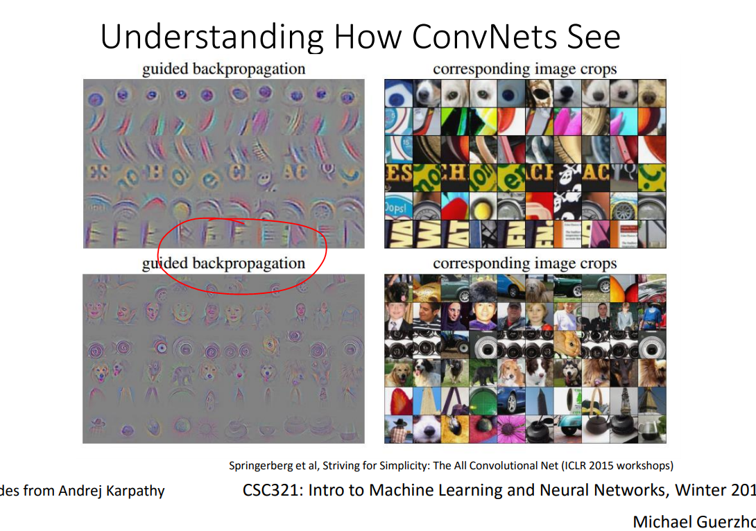 [ Archived Post ] Understanding HowConvNets SeeCSC321: | by Jae Duk Seo | Medium