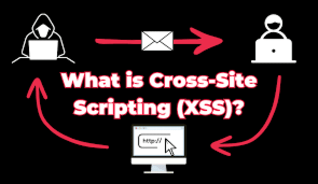 Understanding XSS Vulnerability For Beginners: A Deep Dive into Web ...
