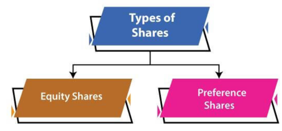 Type of shares. Type of shares in a company | by Lorenzo Viglietti ...