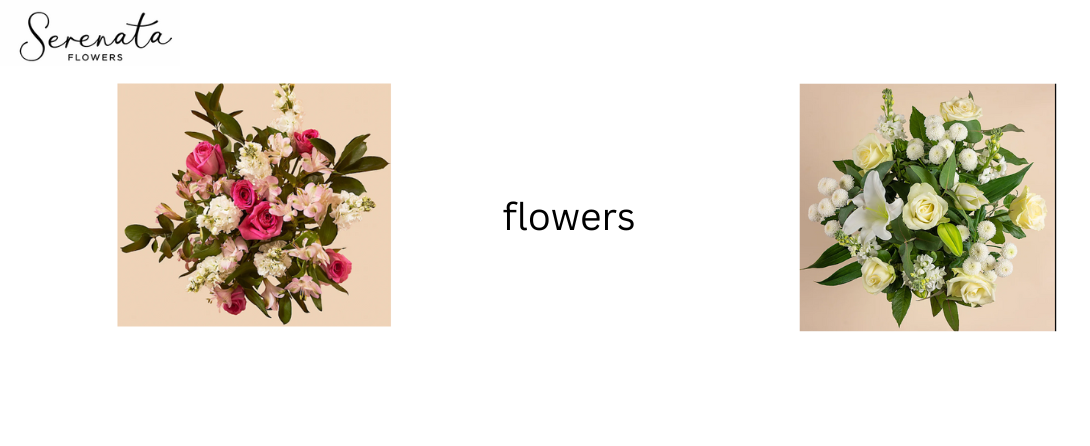 Serenata Flowers: Blossoming Moments for Every Occasion | by Serenata Flowers | Dec, 2023 | Medium