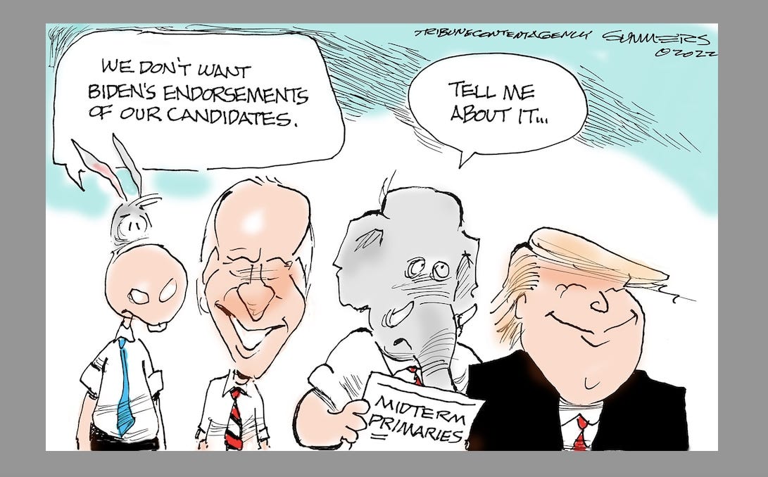 The Peculiar Circus Called American Politics: A Survivor’s Guide | by ...