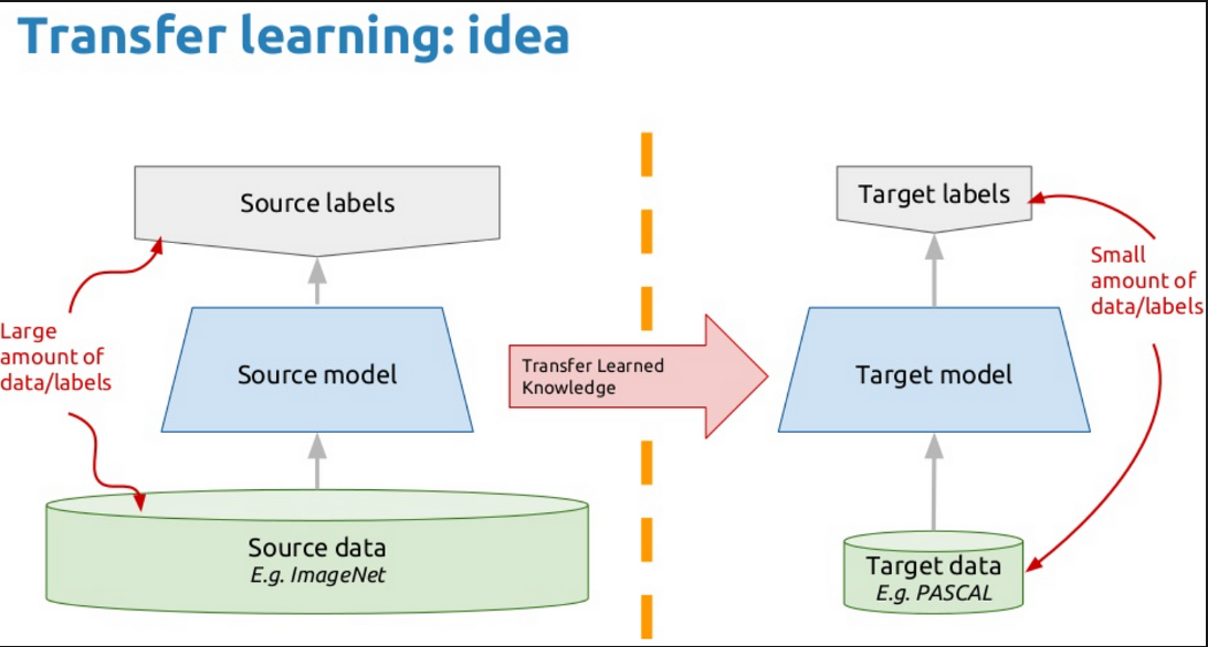 Mastering Transfer Learning in Computer Vision: Unleashing the Power of ...