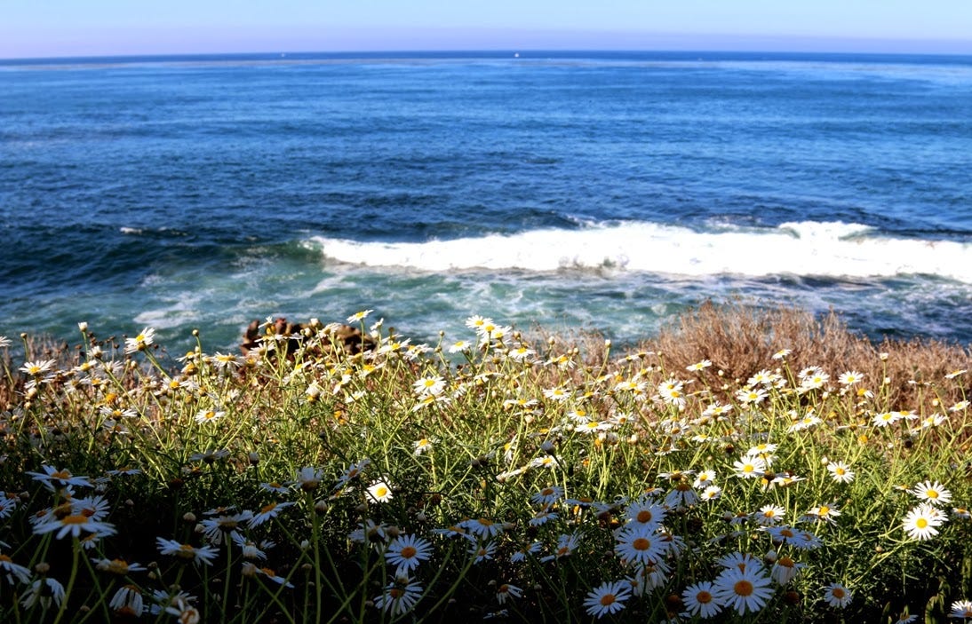 Let’s Talk Sunshine Therapy. Make sure to consume a lot of it | by Dr. Seema Patel (PhD) | Write ...