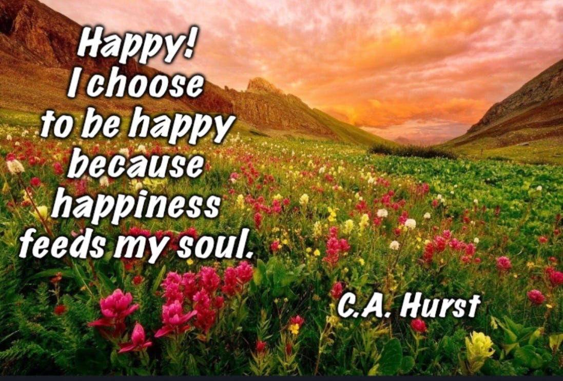 Happy! - C. A. Hurst - Medium