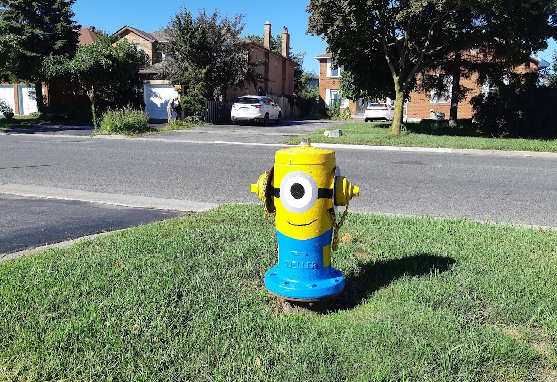 Read Snowflake database into Pandas dataframe using JupyterLab | by ...