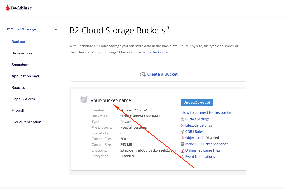 Setting Up CORS Rules for Backblaze B2 (Latest) | by Matija Žiberna ...