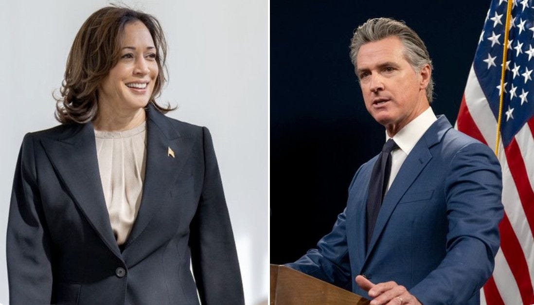 Newsom, a Shadow, Unqualified Presidential Candidate | by Guzzardijoe ...