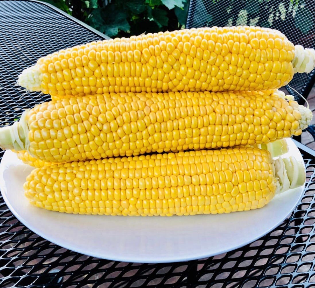 The Controversies of Corn on the Cob | by Cara Beth Lee | Writers ...
