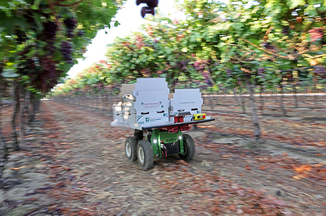 Transforming Farm Production with Collaborative Robots: Our Portfolio ...